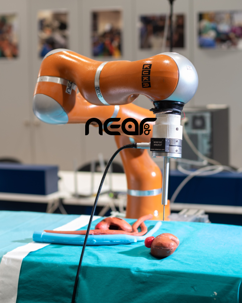 NEARLab - NeuroEngineering and Medical Robotics
